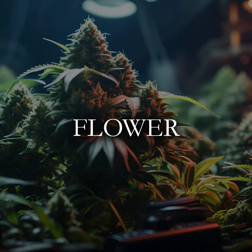 Flower – Chi'Tiva Lounge